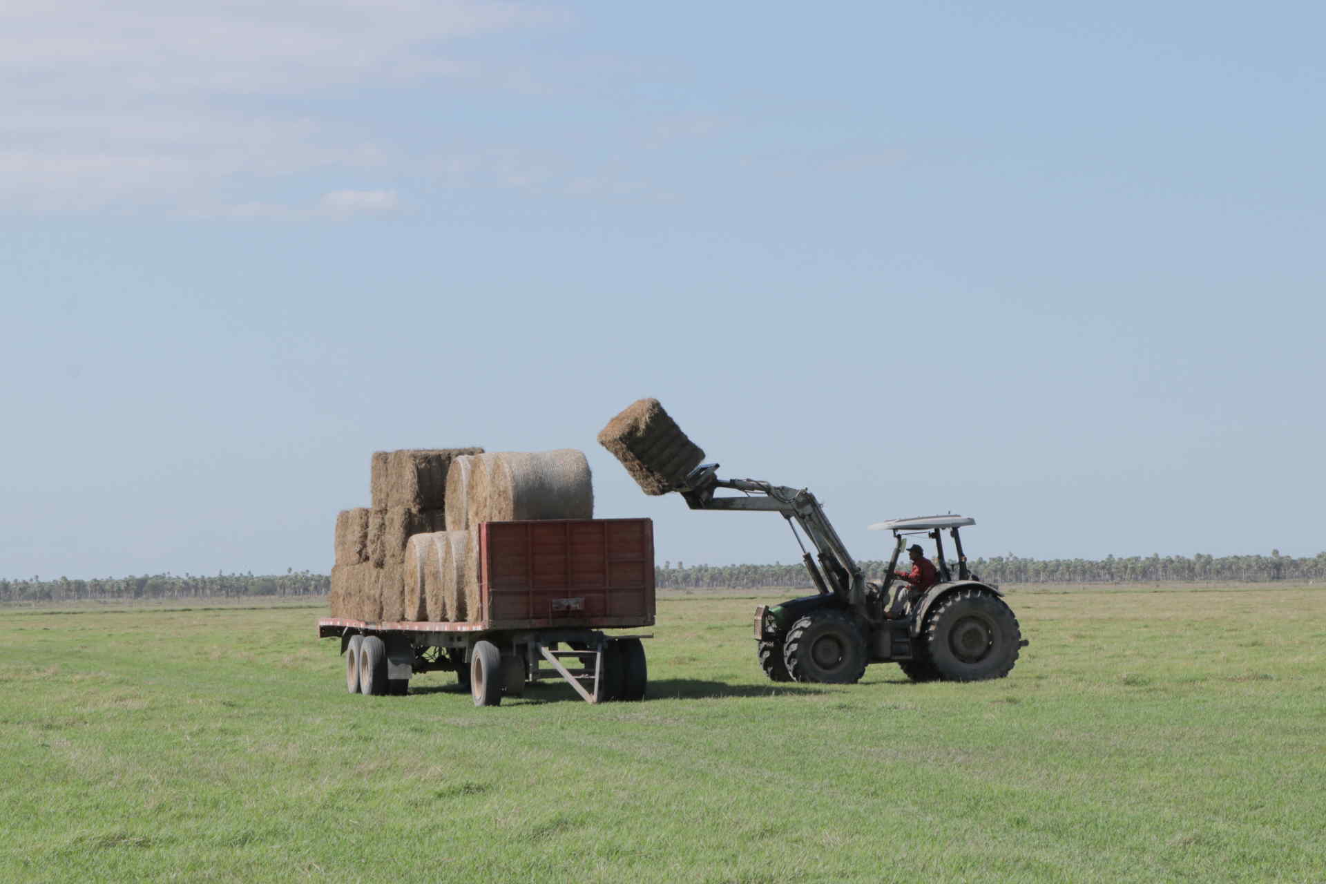 Ganadera Alborada S.A.